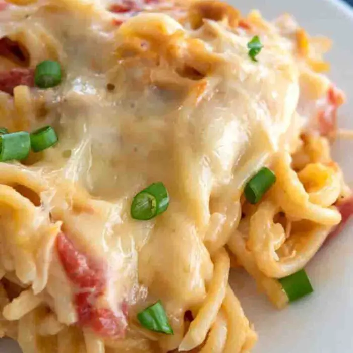 Chicken Modiga Recipe | November 2022 | Recipe Self